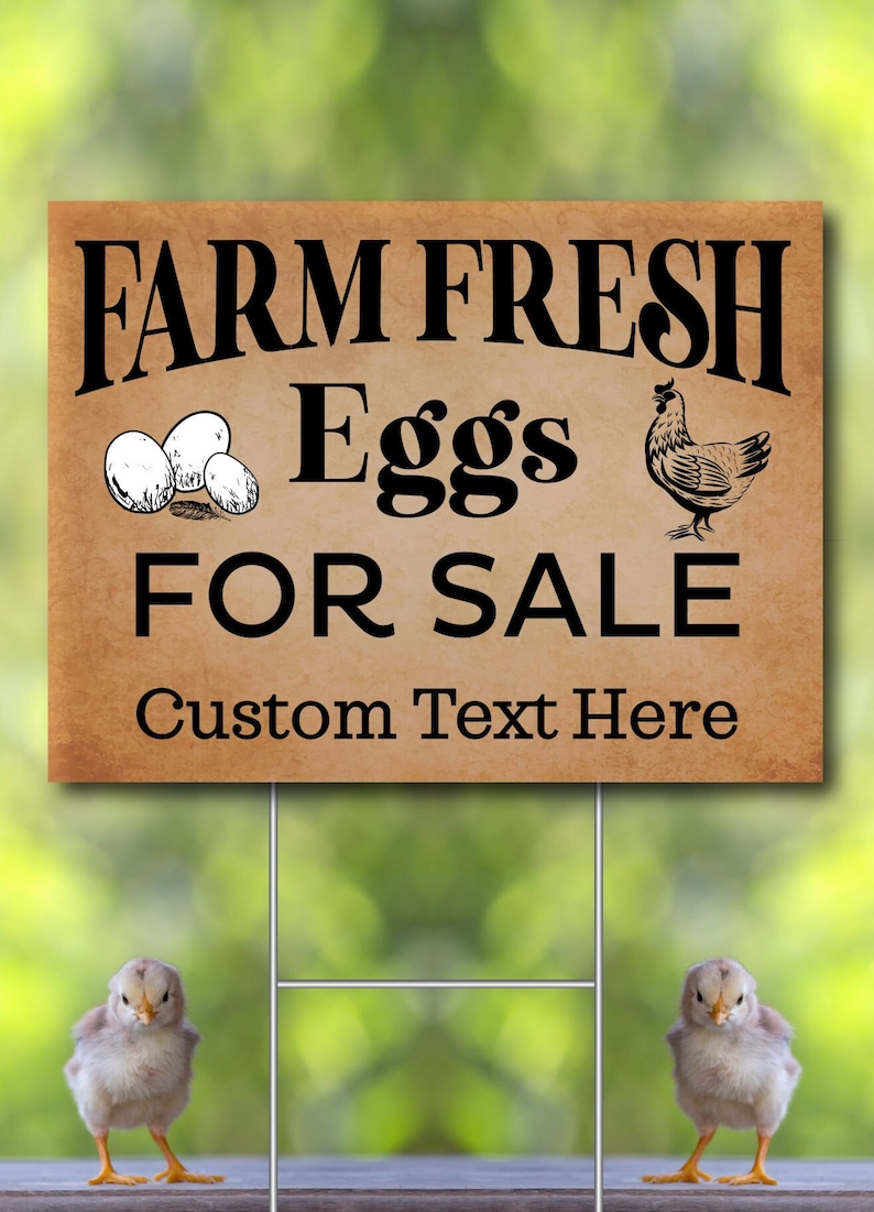 Farm Fresh Eggs Yard Sign With Metal Stake | Eggs for Sale Sign ...