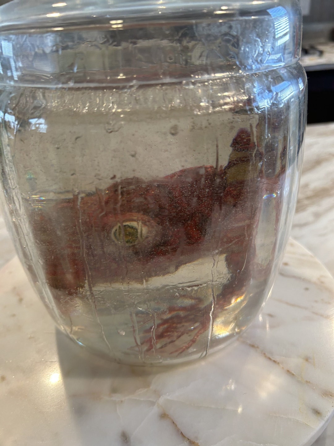 Roots Preserved in Jar Full of Liquid Sculpture original - Etsy