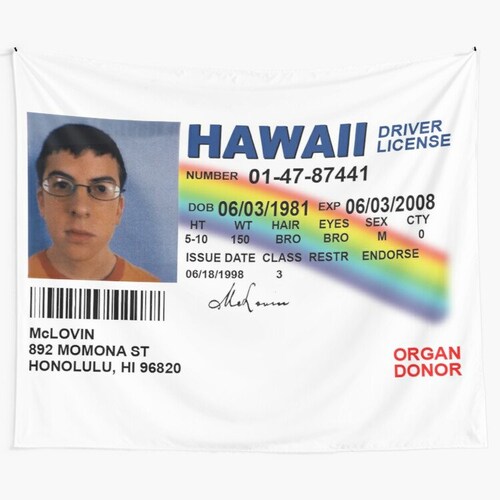 Superbad Fake ID License Tapestry Superbad Tapestry Mclovin - Etsy