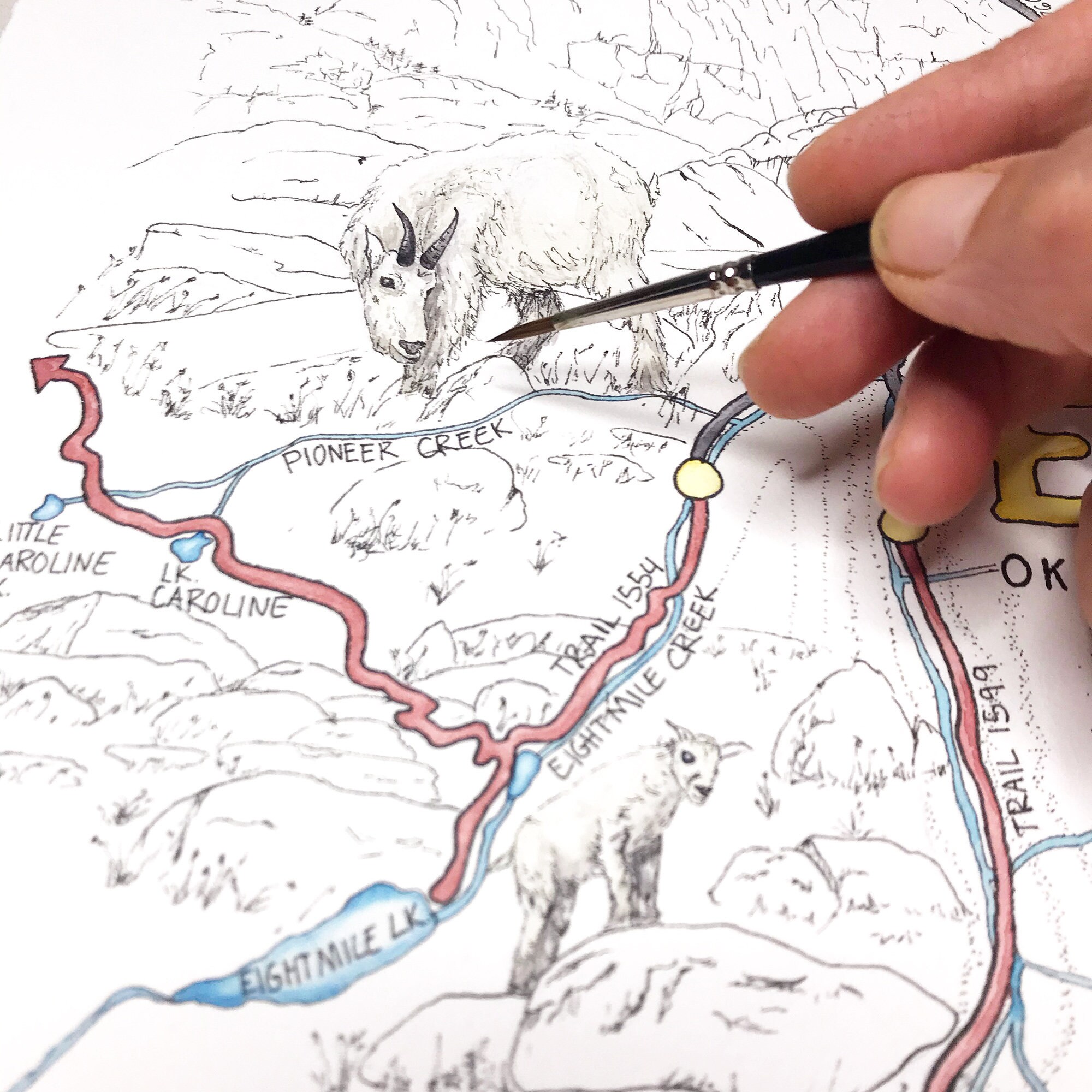 Enchantments Washington Hiking Trail Map. PNW Mountain Watercolor Art ...