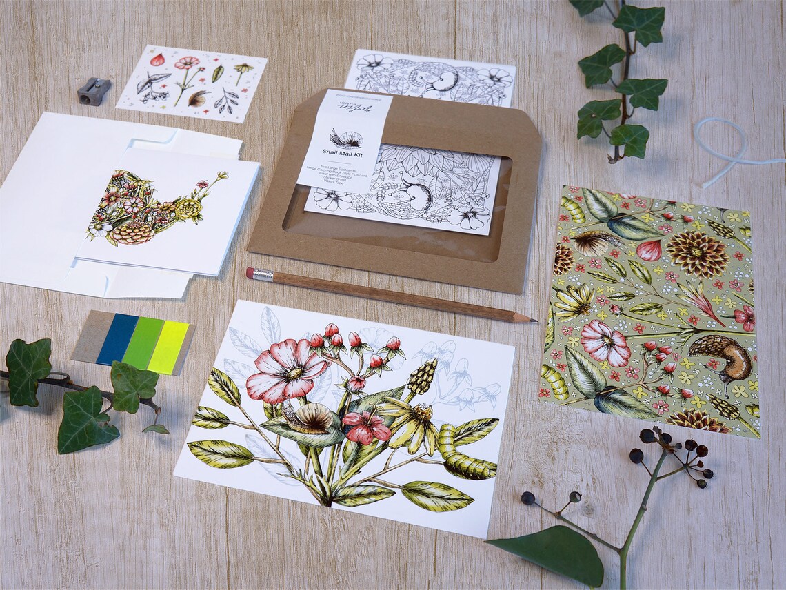 Snail Mail Pen Pal Kit. Cute Insect, Flower Postcard Pack. Garden Snail ...