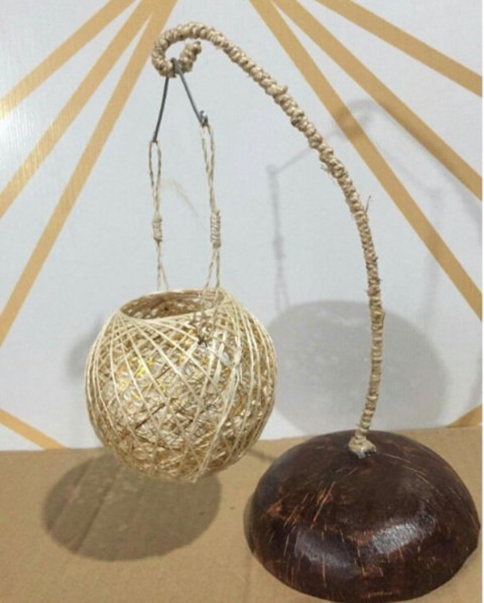 Set of 2 Tabletop abaca ball with coconut shell air plant | Etsy