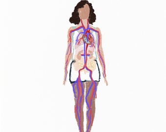 Yoga Anatomy Poster - Etsy