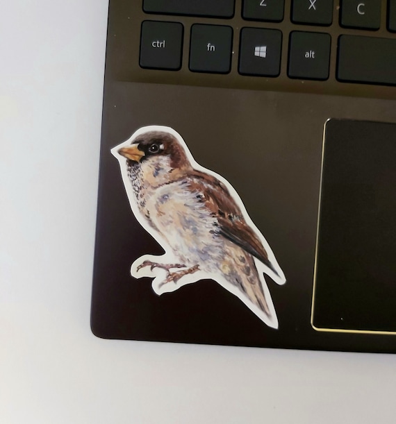 Papercraft Paper, Party & Kids Song Sparrow Decal Bird Sticker Bird ...