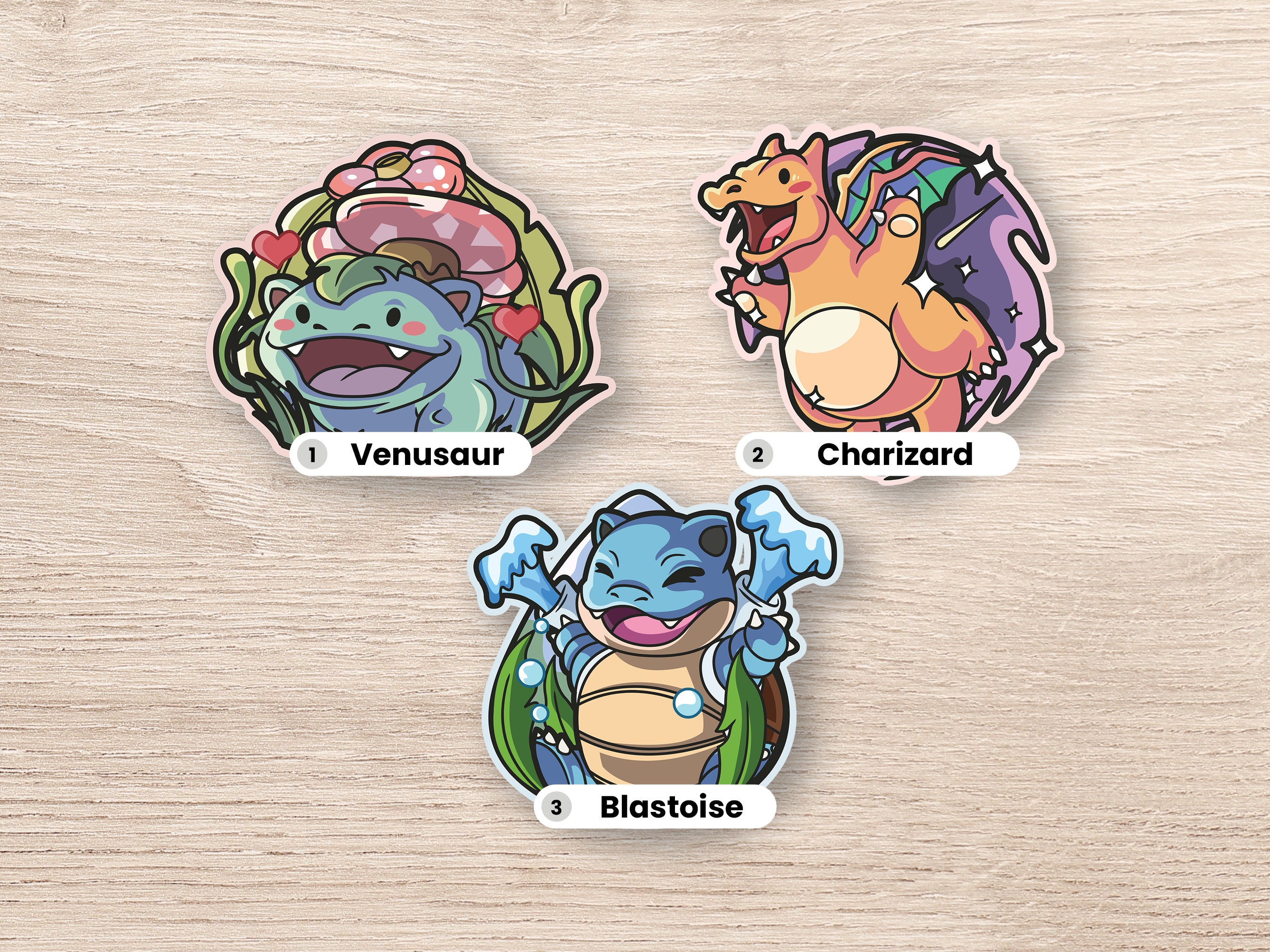 Pokemon Mega Evolution Charizard Blastoise Venusaur