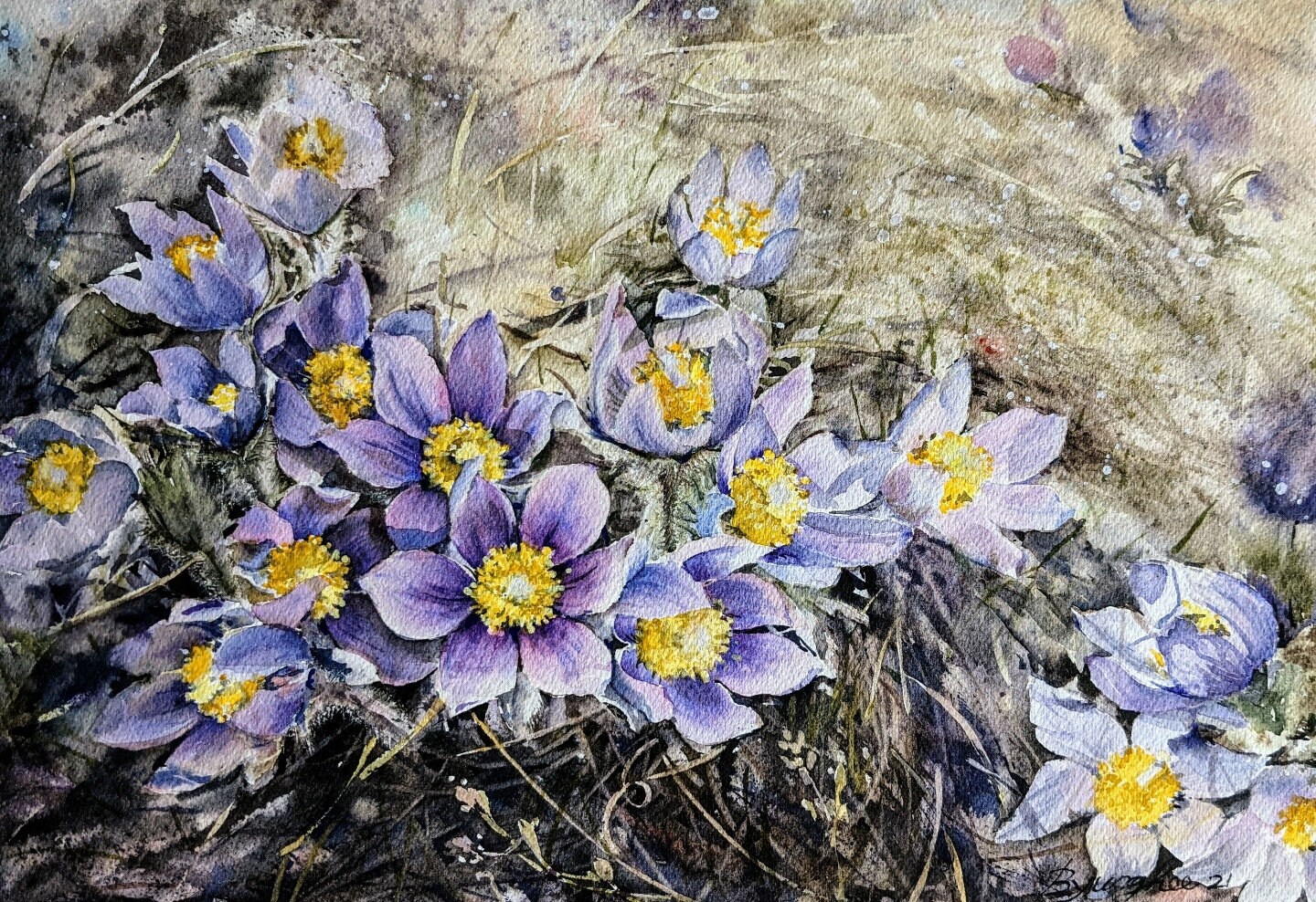 Prairie Crocus, Original Watercolor Painting, Flower Art. - Etsy