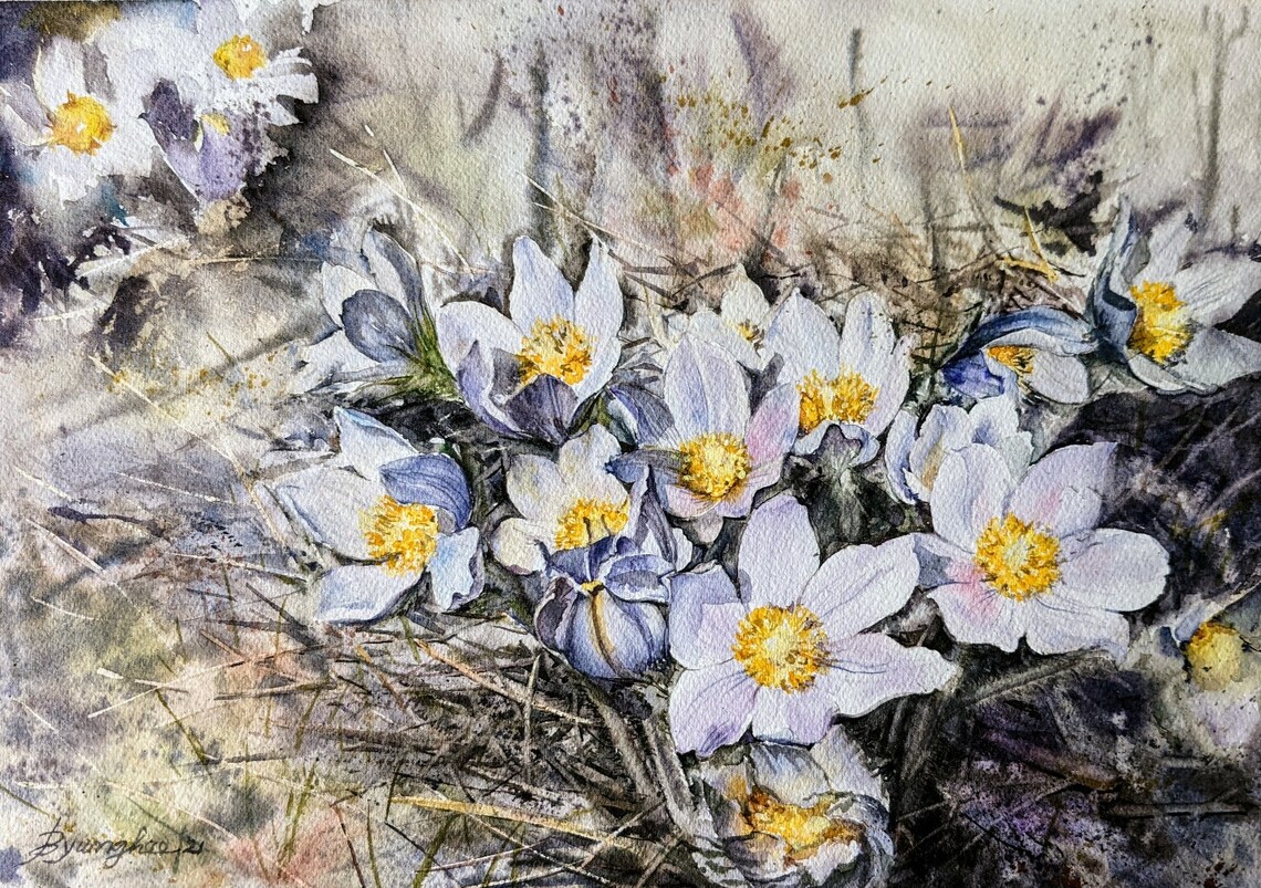 Prairie Crocuses Original Water-colour Painting Flower Art - Etsy UK