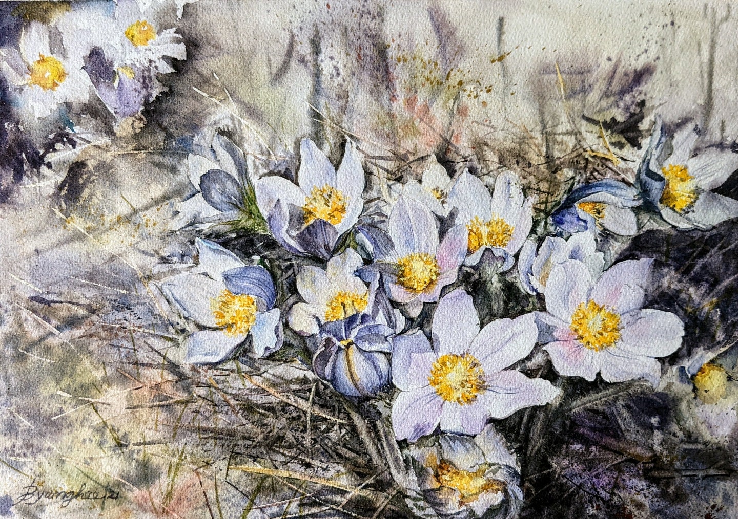 Prairie Crocuses, Original Water-colour, Painting, Flower Art - Etsy UK