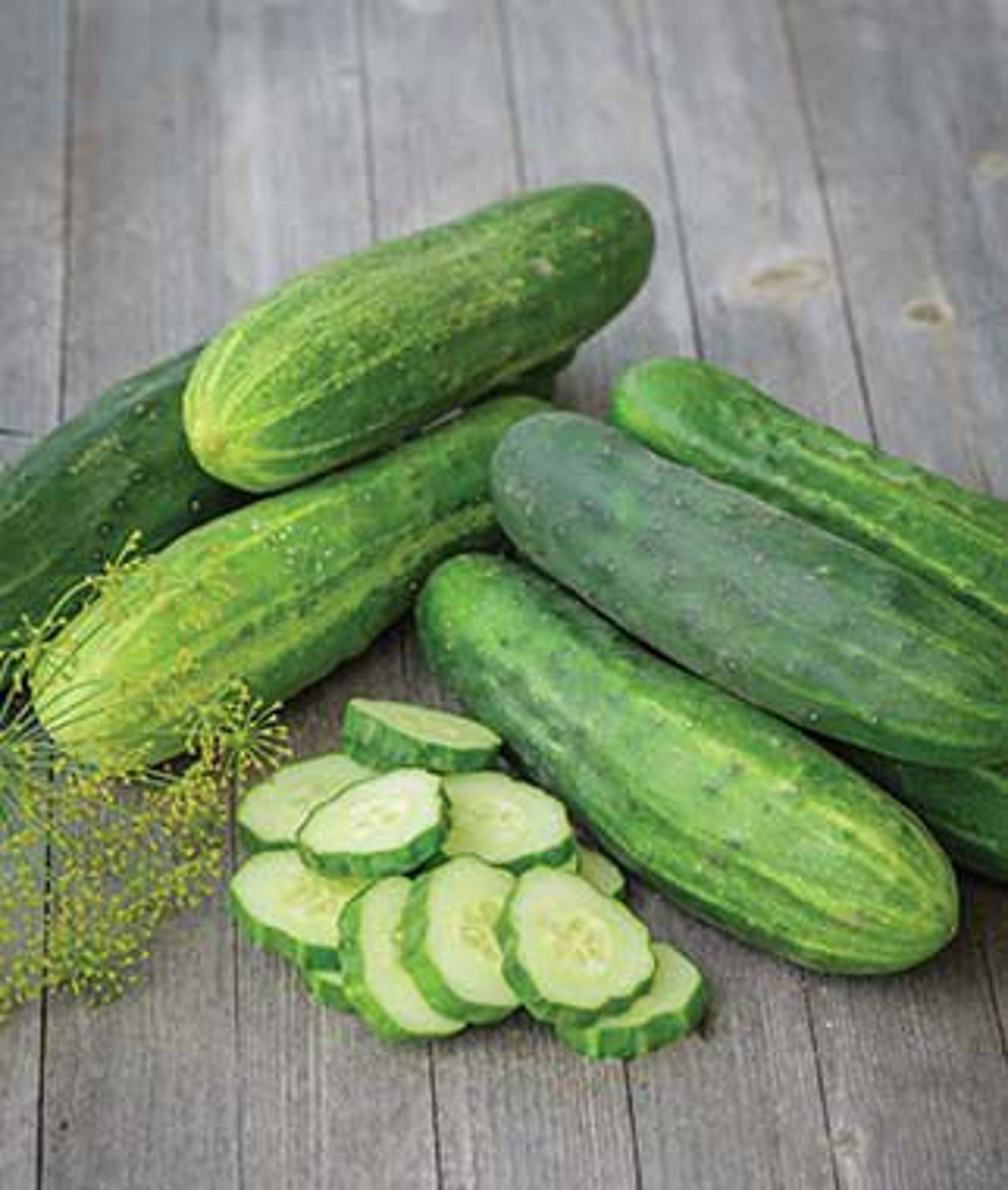 Straight Eight Cucumber Heirloom Seeds Classic Cucumber Easy - Etsy