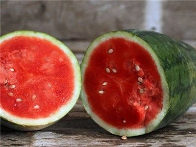 Super Crisp Watermelon Seeds - Etsy