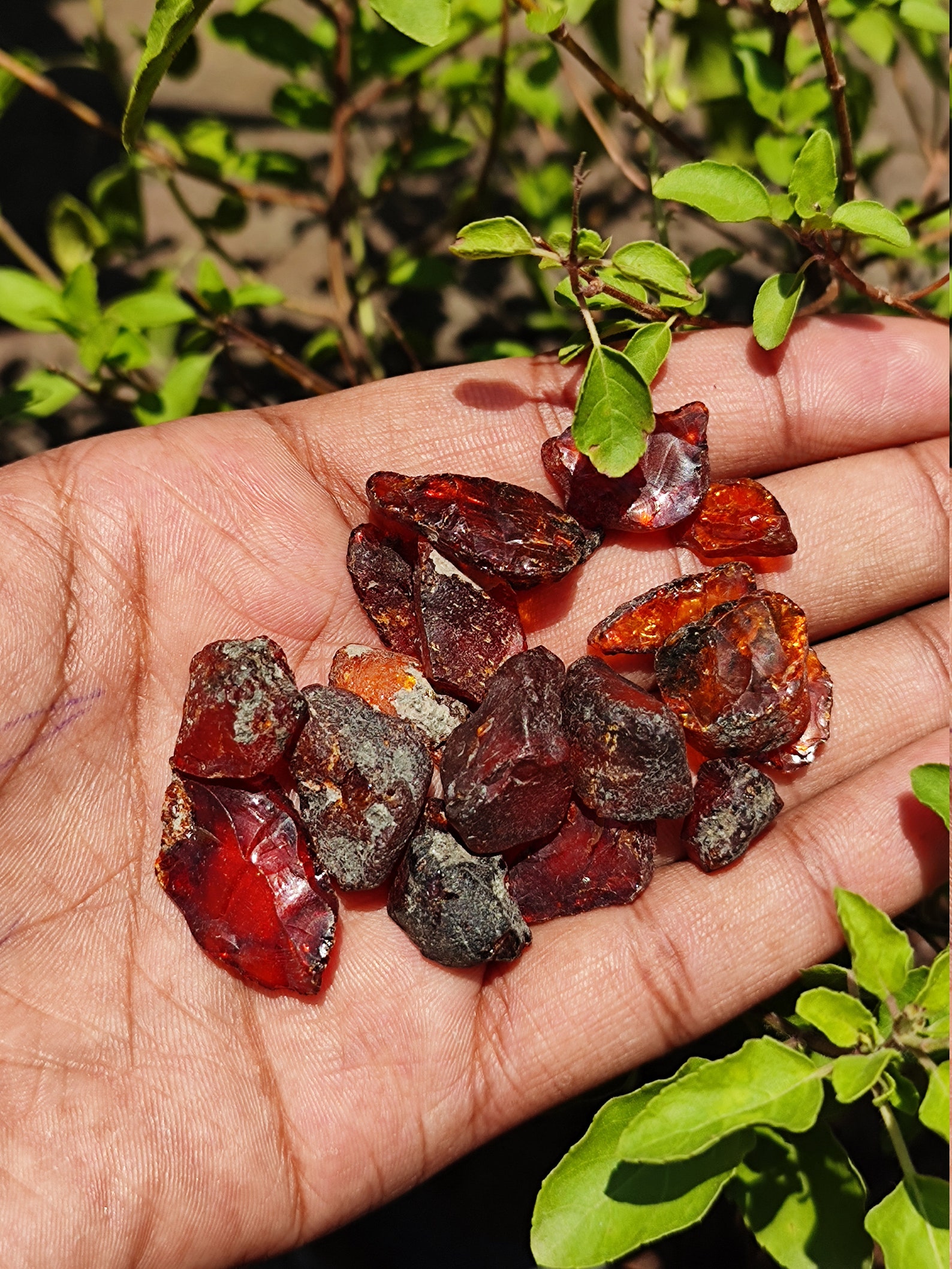 Beautiful RAW BALTIC AMBER Crystal Gemstone, Wholesale Natural Rough ...