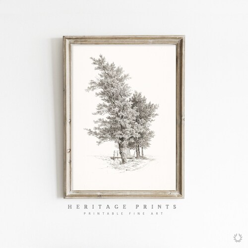 Wall Art Print Tree Drawing Print Simple Neutral Vintage - Etsy