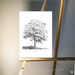 Oak Etching Print Download Vintage Black and White Tree - Etsy