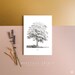 Oak Etching Print Download Vintage Black and White Tree - Etsy