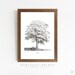 Oak Etching Print Download Vintage Black and White Tree - Etsy