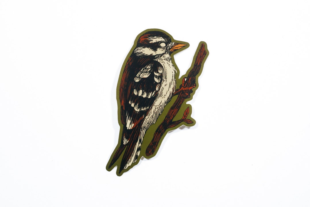 Downy Woodpecker Waterproof Sticker - Etsy