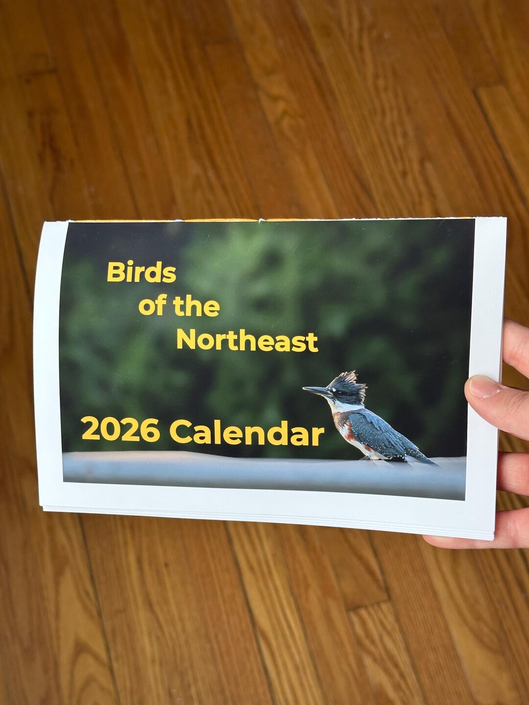 2026 Bird Calendar - Northeast Birds - Etsy UK