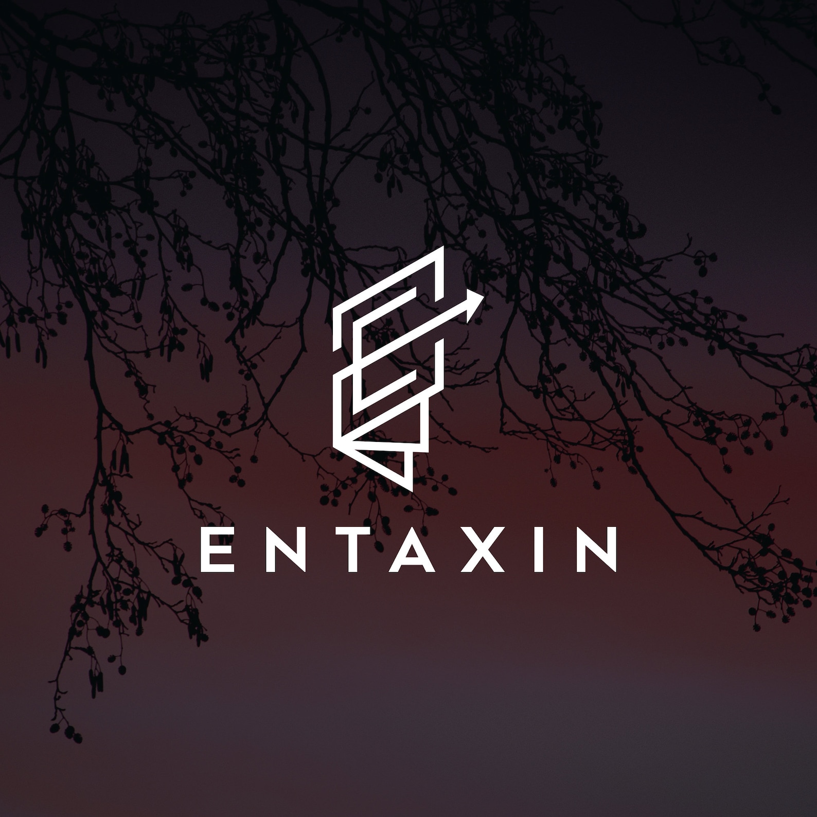 TECH LOGO Design Custom Minimal Tech Logo Design Service for - Etsy