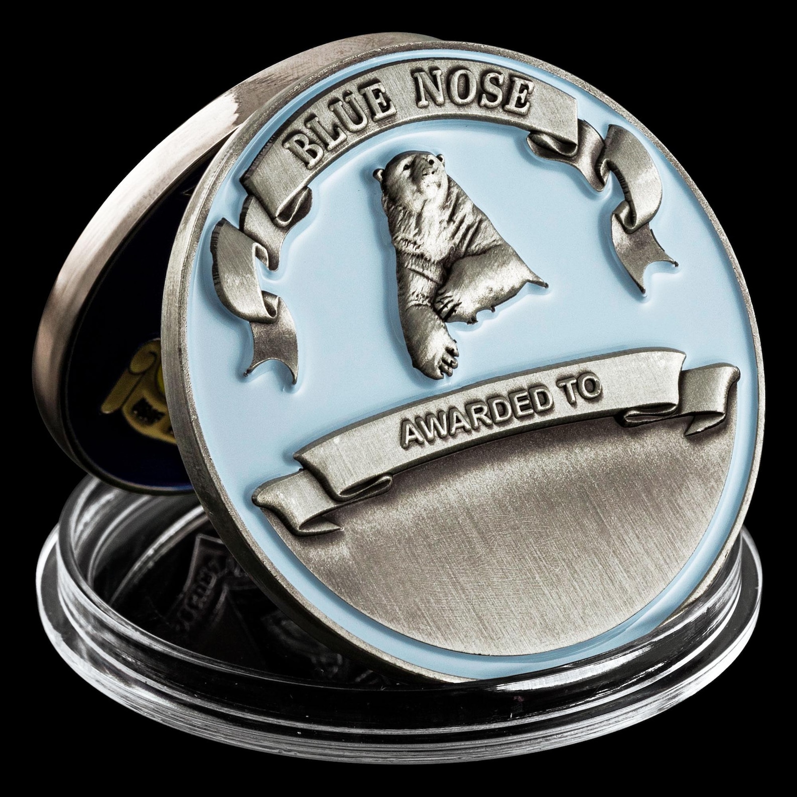 Blue Nose Challenge Coin - Etsy