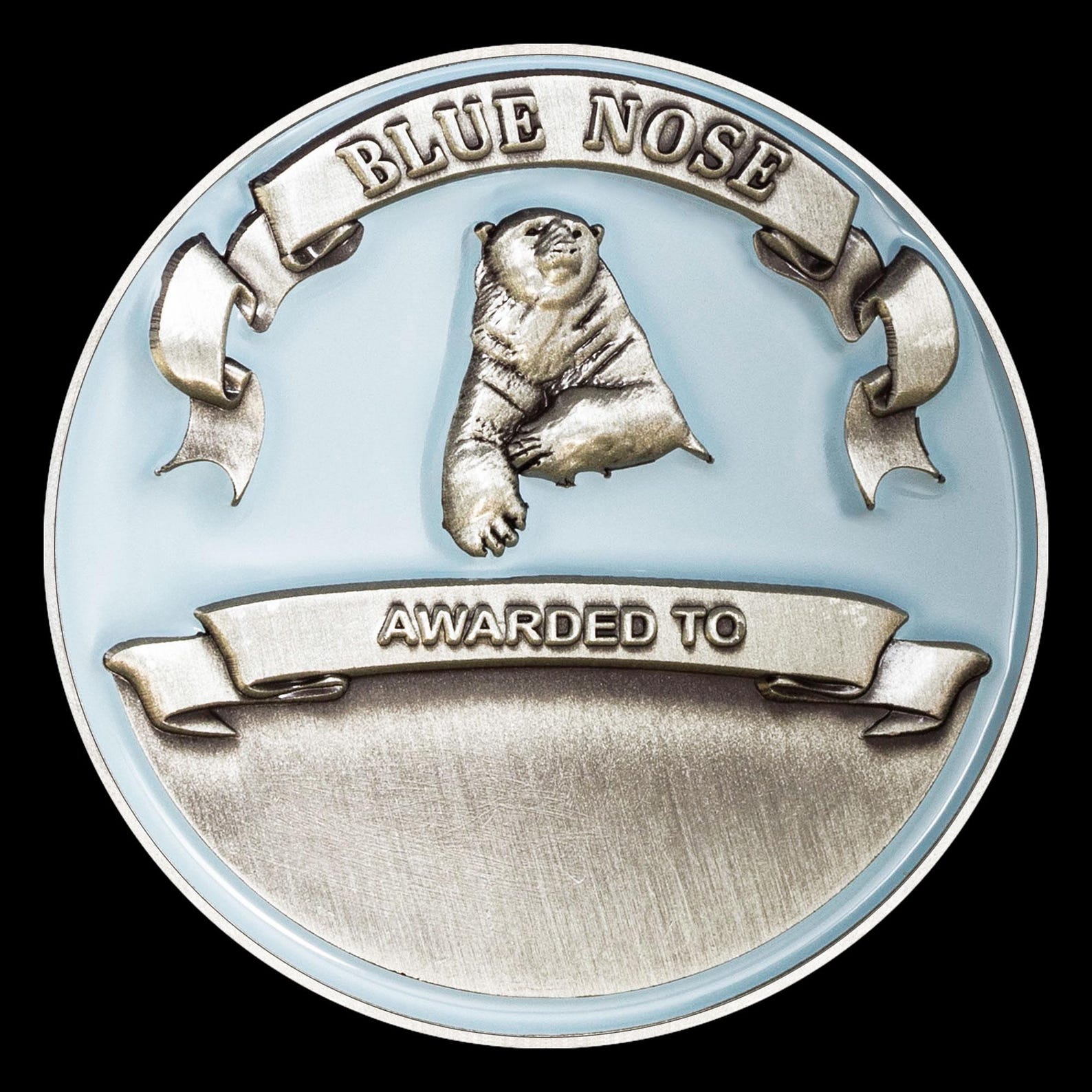 Blue Nose Challenge Coin - Etsy