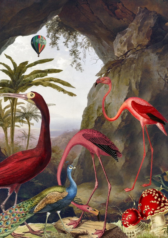 Birds Galore Vintage Print - Etsy