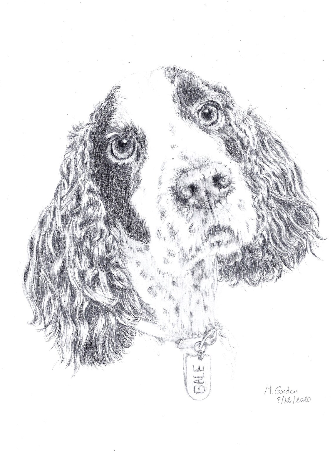 EEUU Custom Pencil Dog Sketch Drawing A4 Size 210x297mm | Etsy