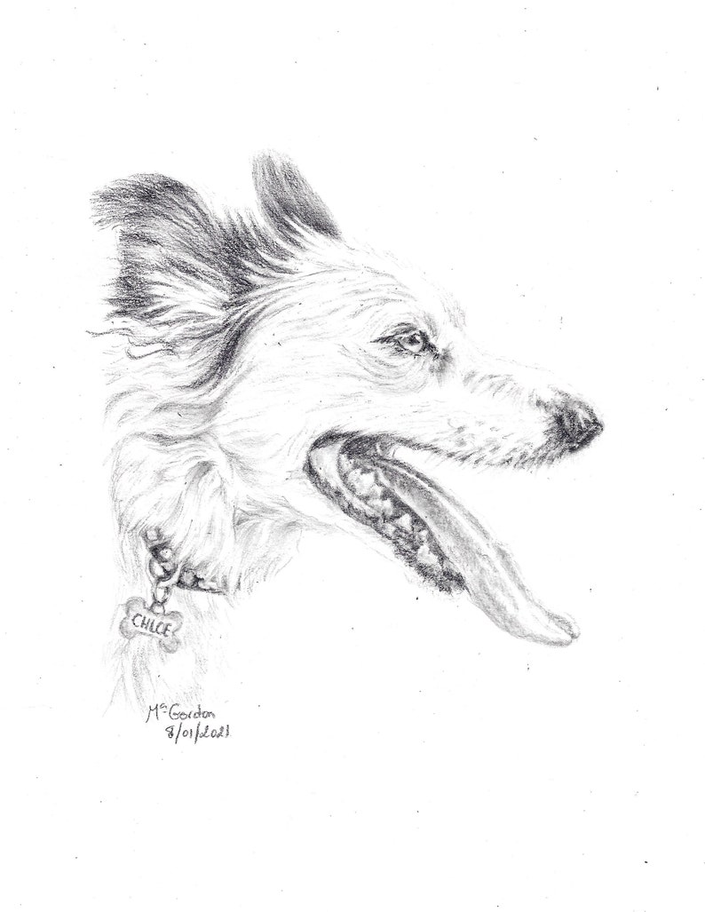 EEUU Custom Pencil Dog Sketch Drawing A4 Size 210x297mm - Etsy España