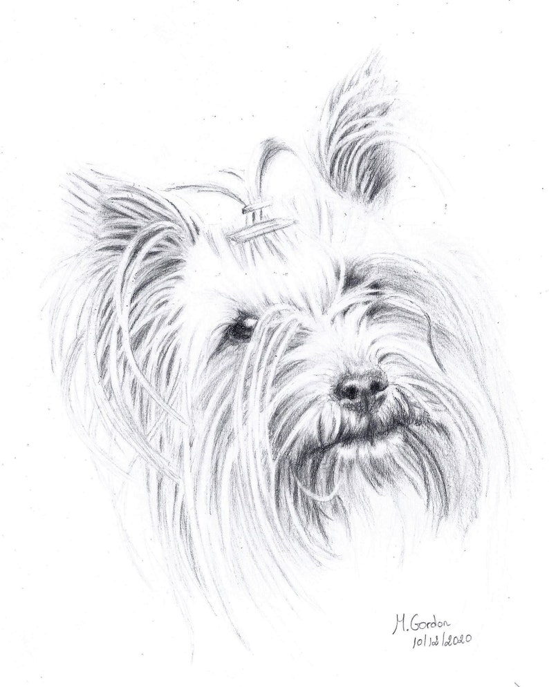 EEUU Custom Pencil Dog Sketch Drawing A4 Size 210x297mm - Etsy España