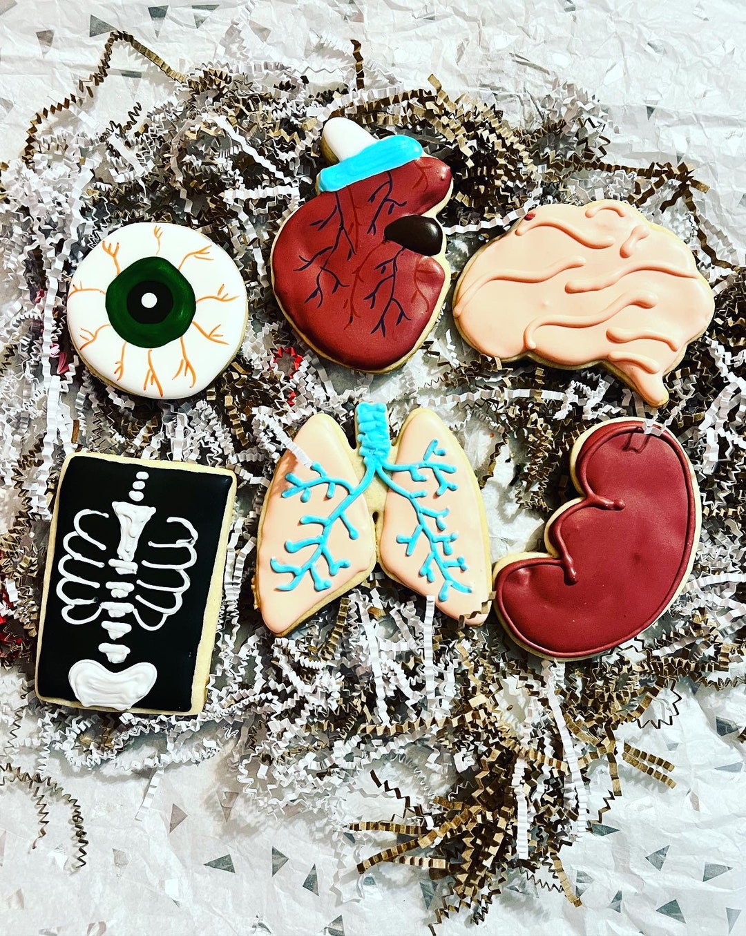 Anatomy Medical Cookies - Etsy