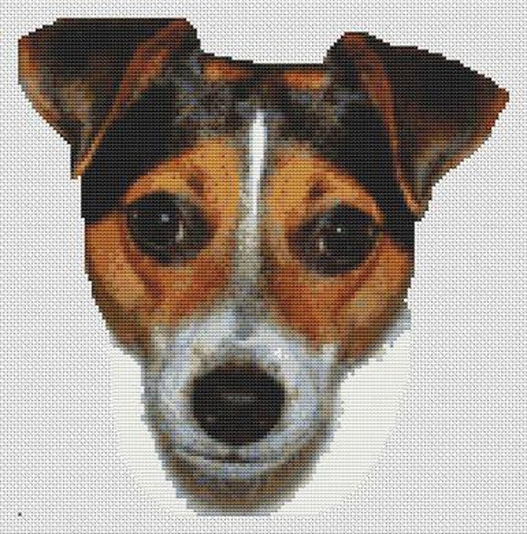 Tri-color Jack Russell Terrier Counted Cross Stitch Pattern - Etsy