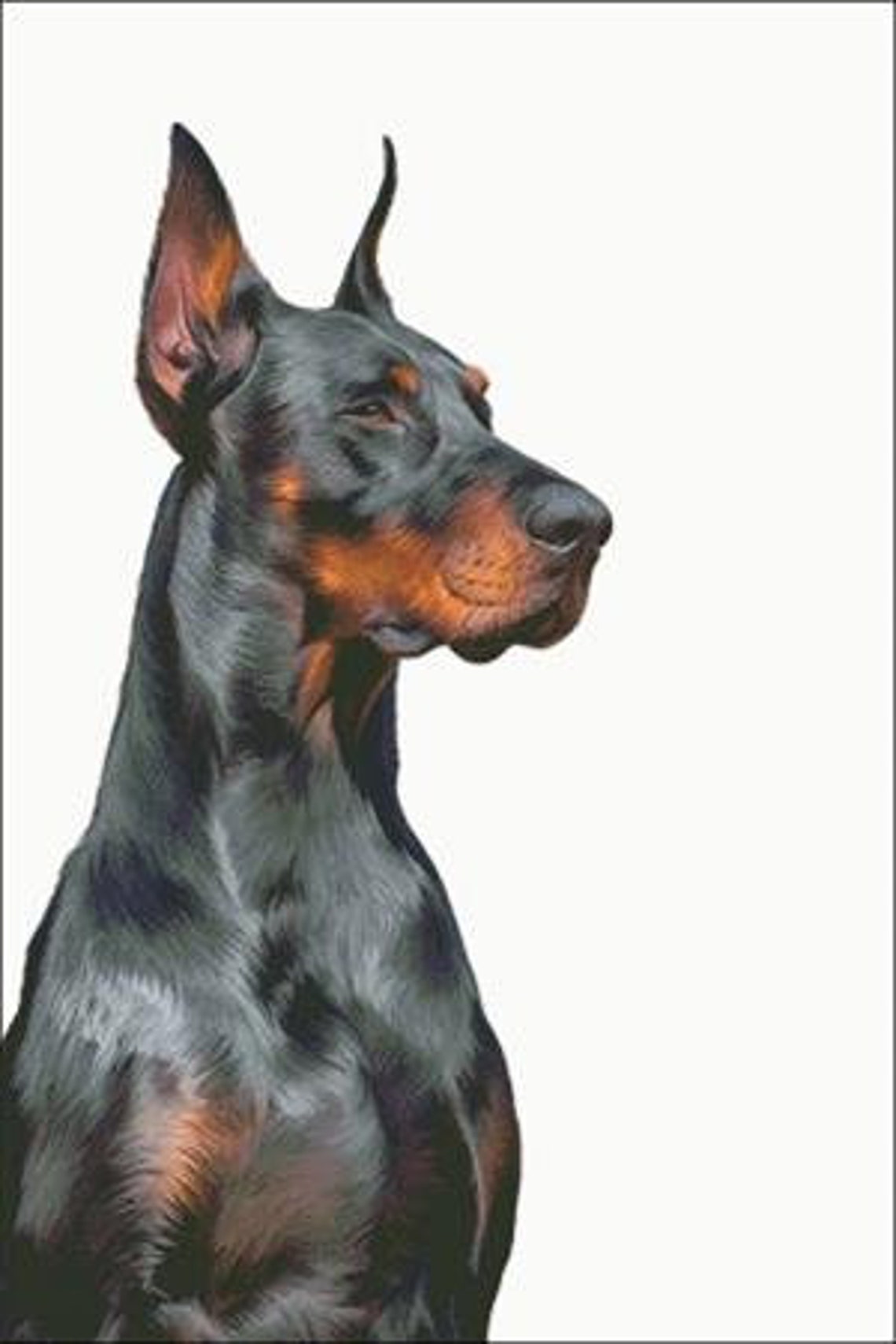 Doberman Counted Cross Stitch Pattern - Etsy