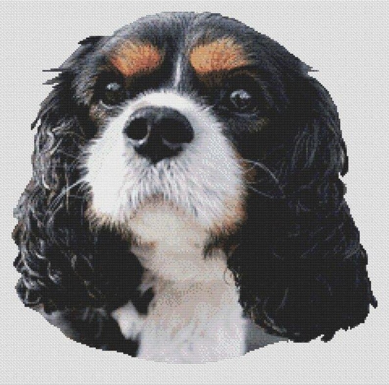 Tri-colored Cavalier King Charles Spaniel Counted Cross Stitch Pattern ...