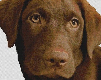 Chocolate Labrador Cross Stitch Pattern PDF Bundle Chocolate Lab ...