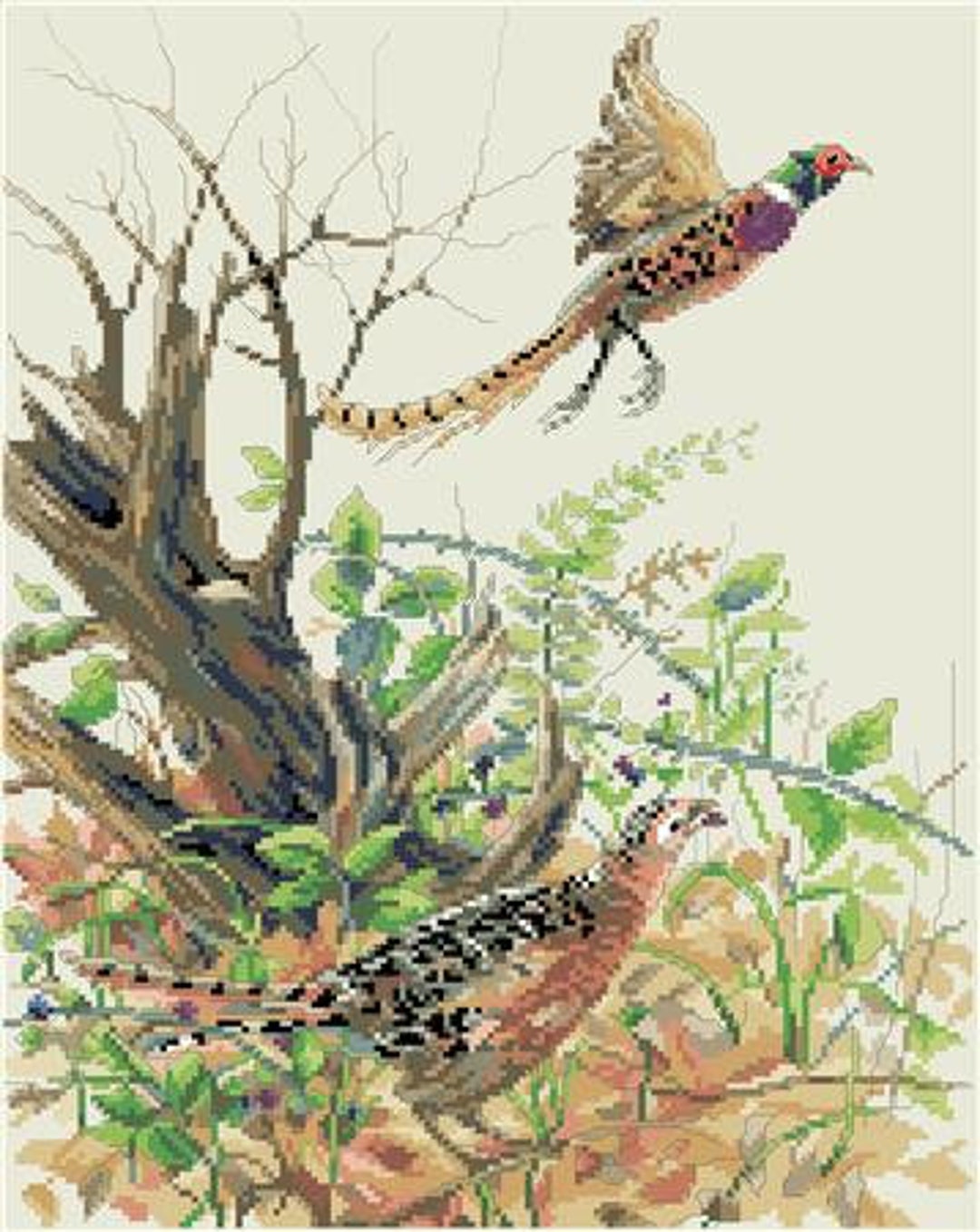 Pheasants Counted Cross Stitch Pattern - Etsy