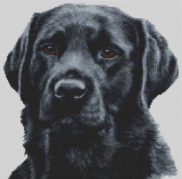 Black Lab Dickens Counted Cross Stitch Pattern - Etsy