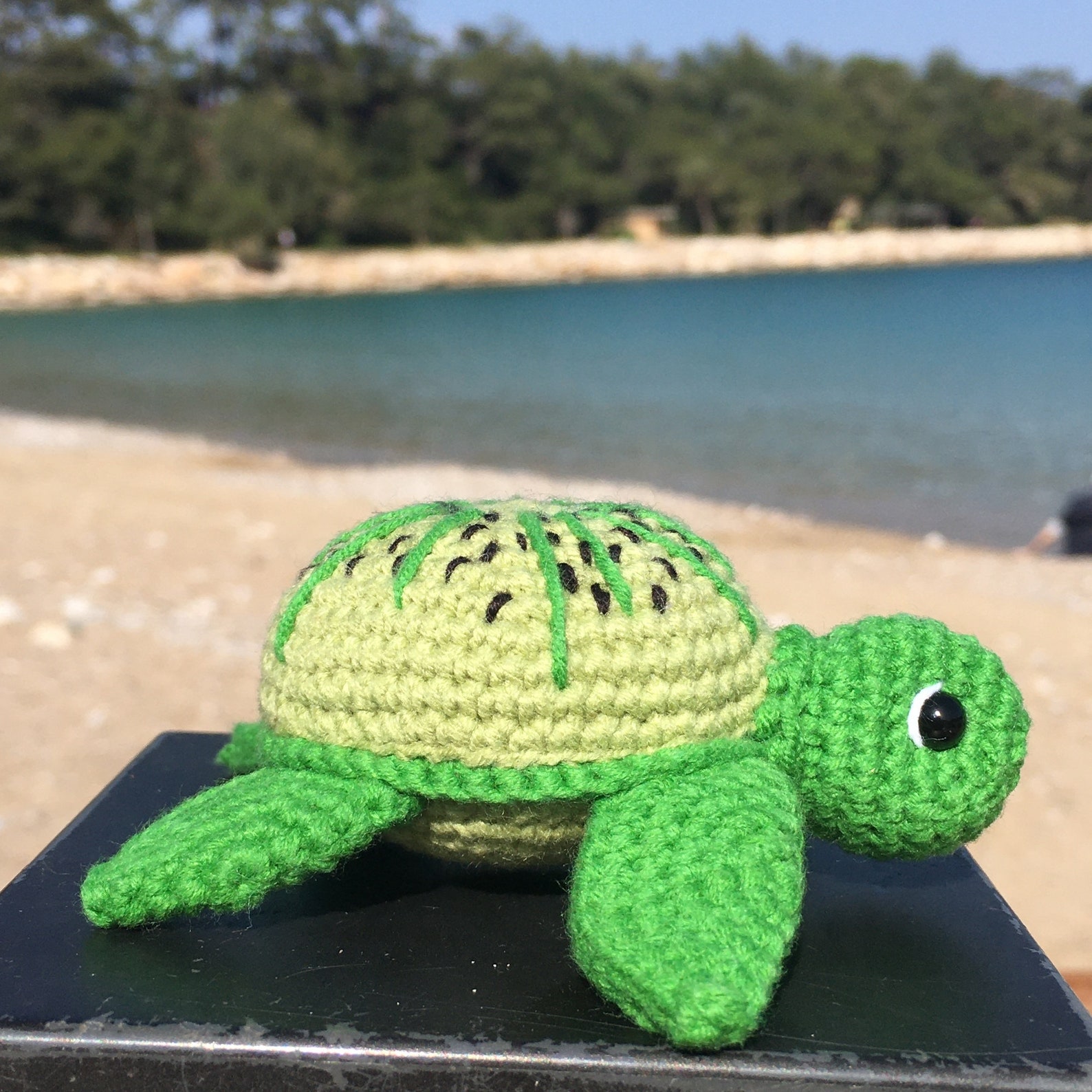 Crochet Pattern Kiwi Sea Turtle Amigurumi Sea Animals Crochet - Etsy