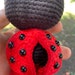 Crochet Pattern Ladybug, Amigurumi Crochet Pattern, Insects Crochet ...