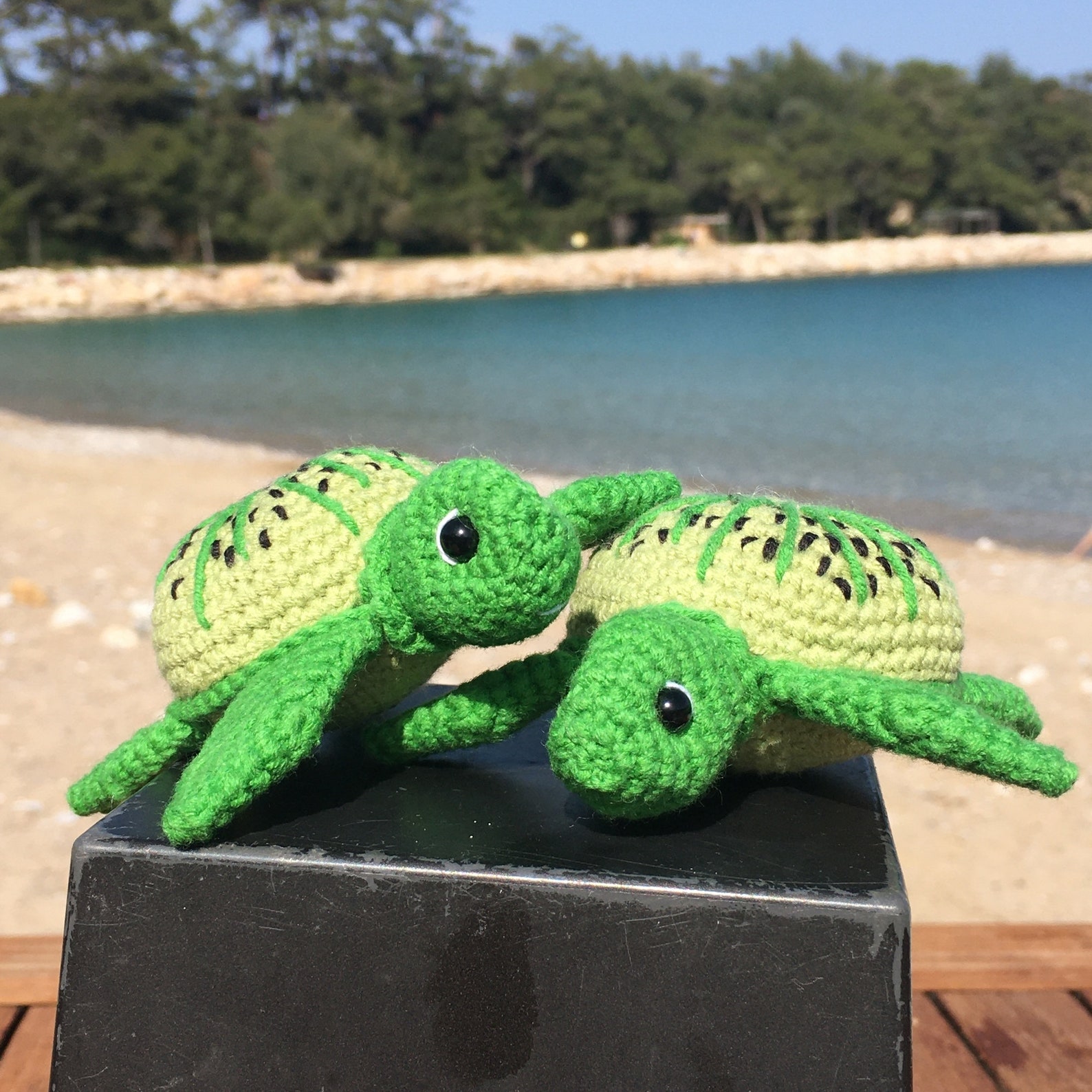 Crochet Pattern Kiwi Sea Turtle Amigurumi Sea Animals Crochet | Etsy