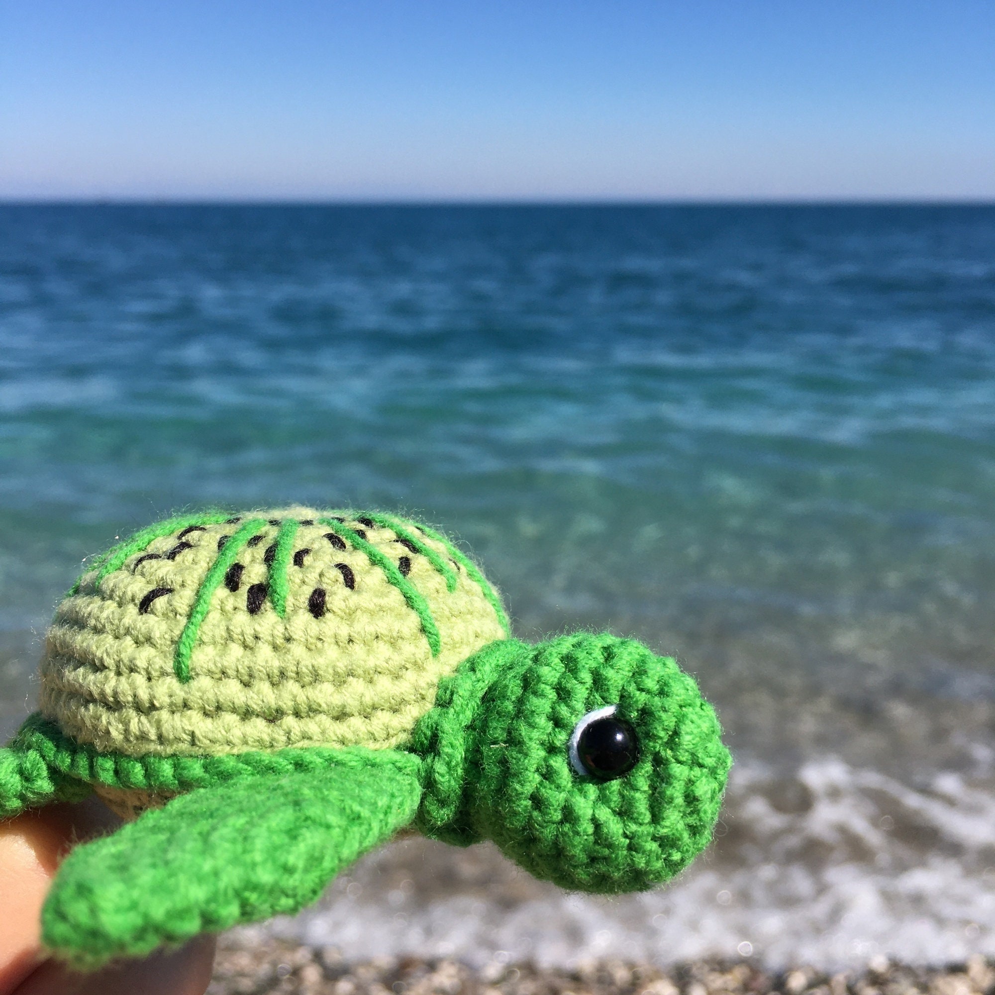 Crochet Pattern Kiwi Sea Turtle Amigurumi Sea Animals Crochet | Etsy Canada