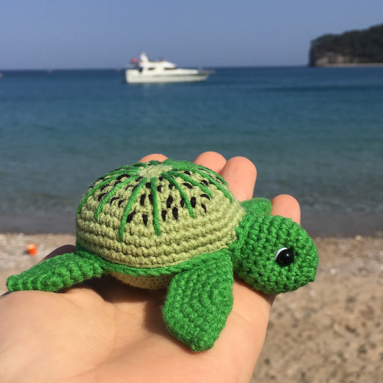 Crochet Pattern Kiwi Sea Turtle Amigurumi Sea Animals Crochet | Etsy