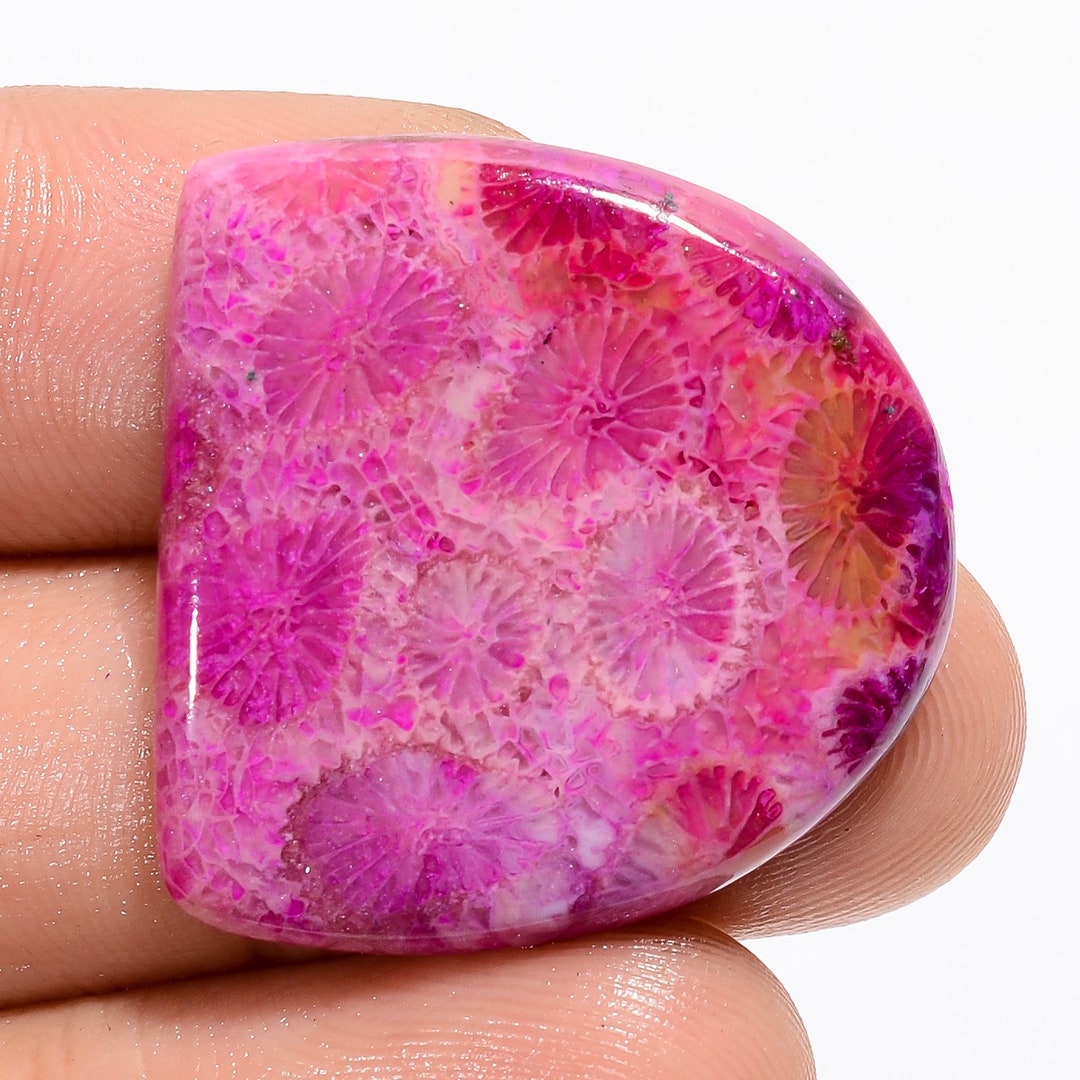Pink Fossil Coral Dyed Exclusive Top Grade Quality Loose Gemstone D ...