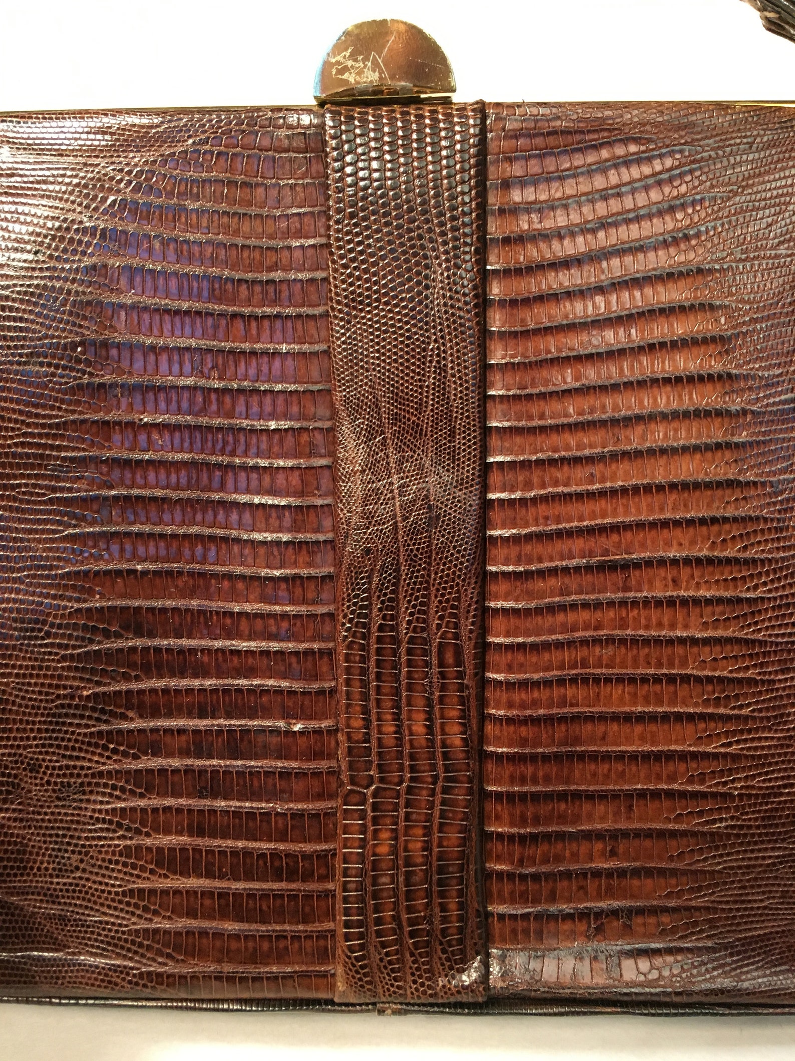 Genuine Lizard Purse With MCM Brass Clasp and Frame - Etsy