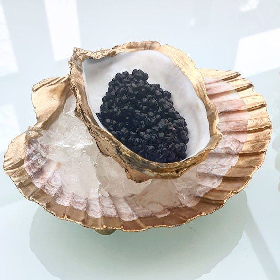 Caviar Serving Dish Footed 2 Piece Scallop Shell and Oyster - Etsy