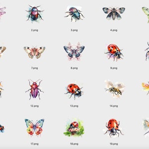 Watercolor Bugs - Watercolor Insects Spider Butterfly Clipart - Spring ...