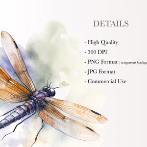 Watercolor Bugs - Watercolor Insects Spider Butterfly Clipart - Spring ...