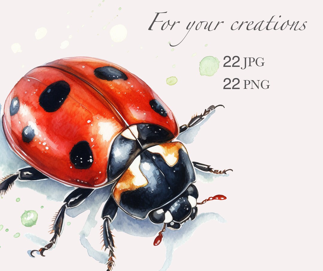 Watercolor Bugs - Watercolor Insects Spider Butterfly Clipart - Spring ...