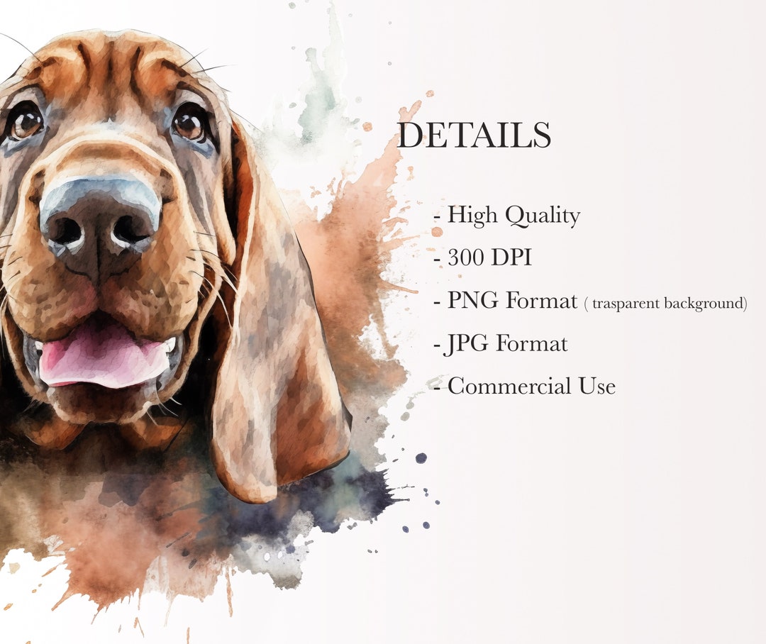 Watercolor Dogs Clipart | Painted Dog Clipart | Dog Illustrations | PNG ...