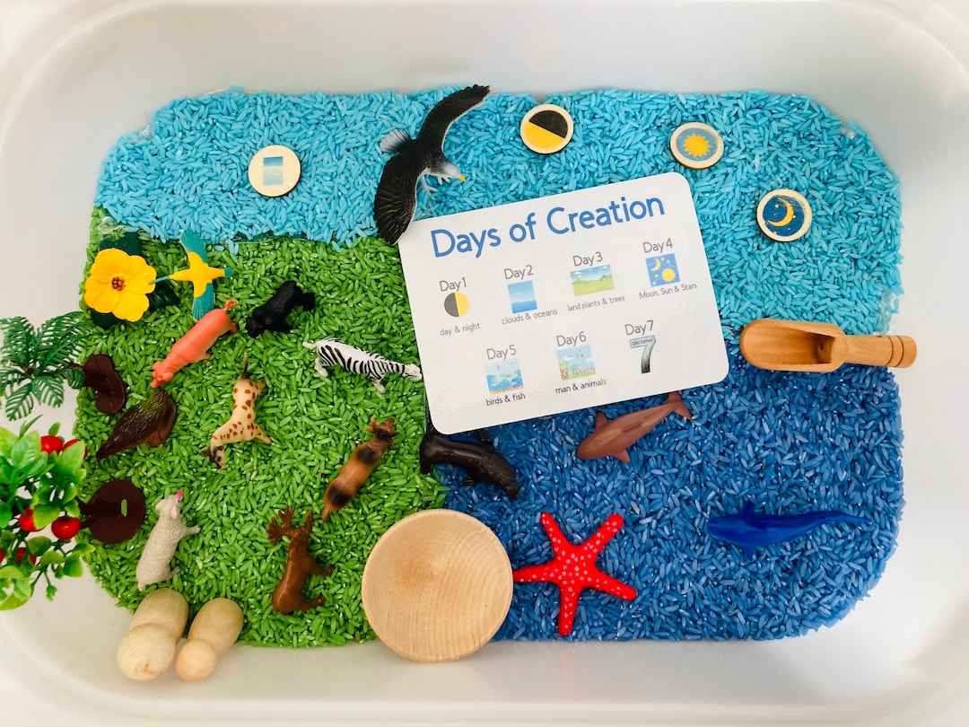 Creation Sensory Bin Sensory Center Days of Creation - Etsy