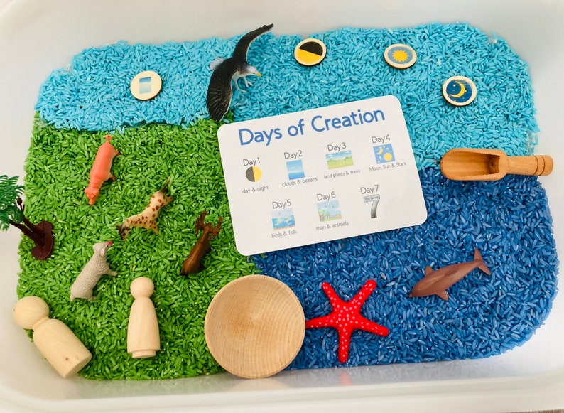 Creation Sensory Bin Sensory Center Days of Creation - Etsy