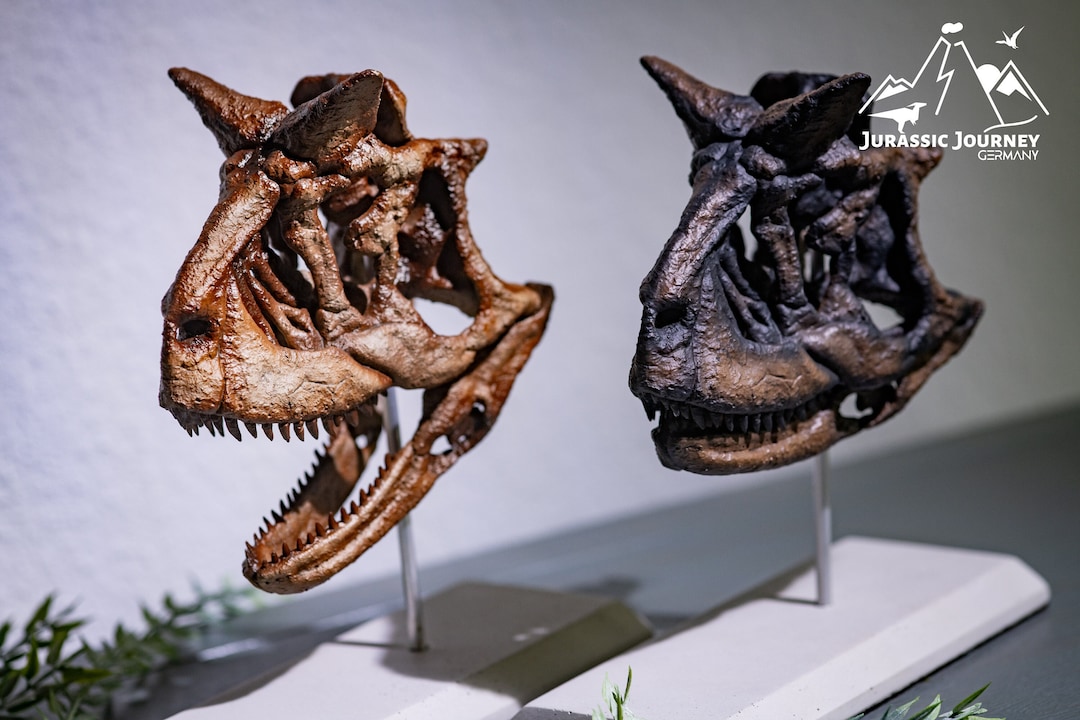 1/4 Carnotaurus Skull With Concrete Stand, Dinosaur Fossil, Quality 3D ...